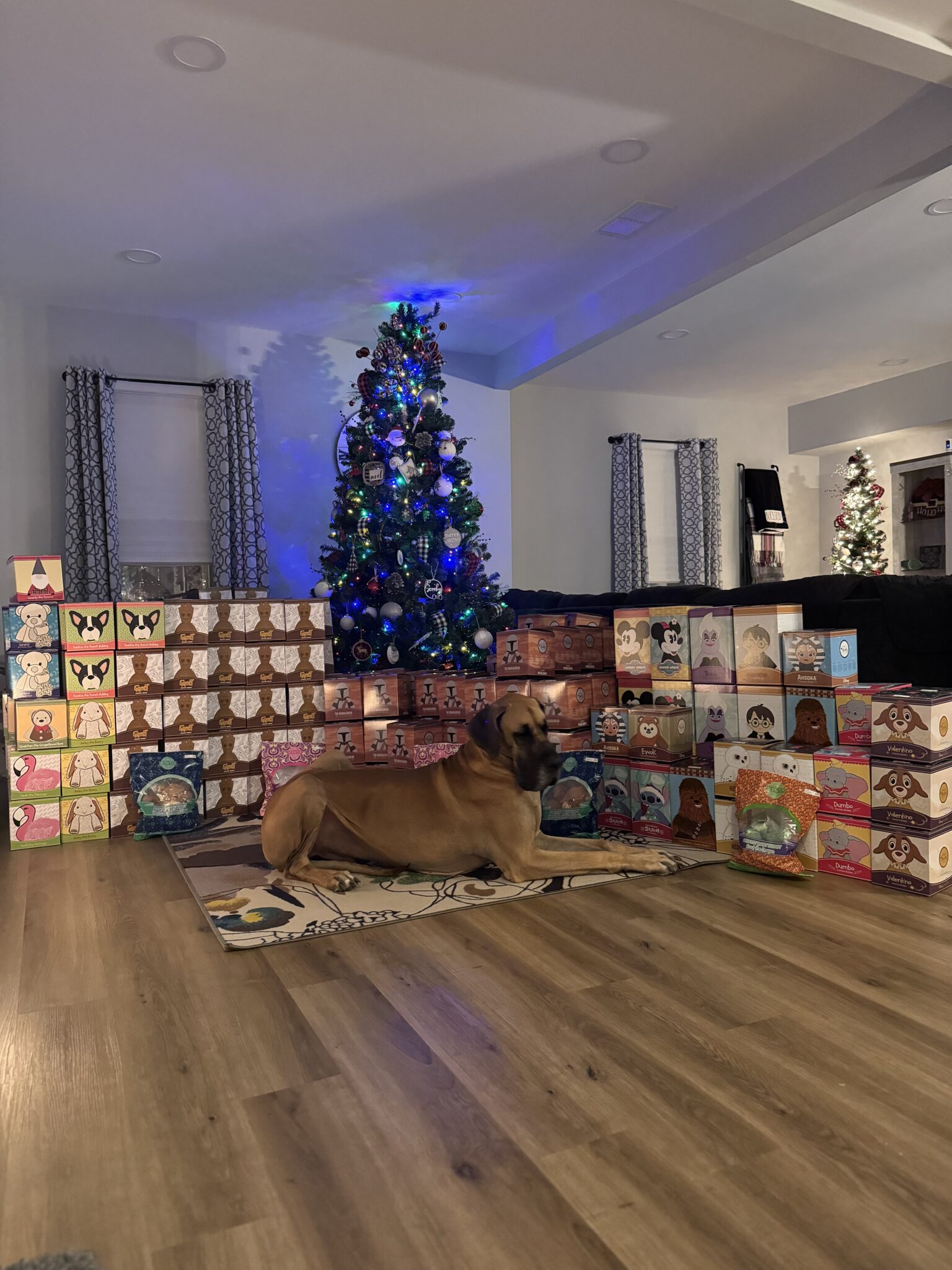 Our 2023 Scentsy Buddy Drive Donation Was a Success! - ARC Excess ...